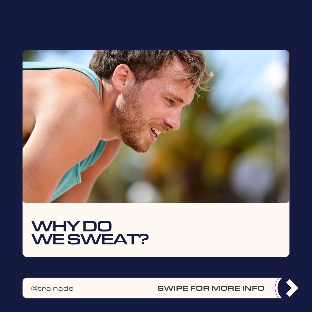 Why Do We Sweat? – Trainade