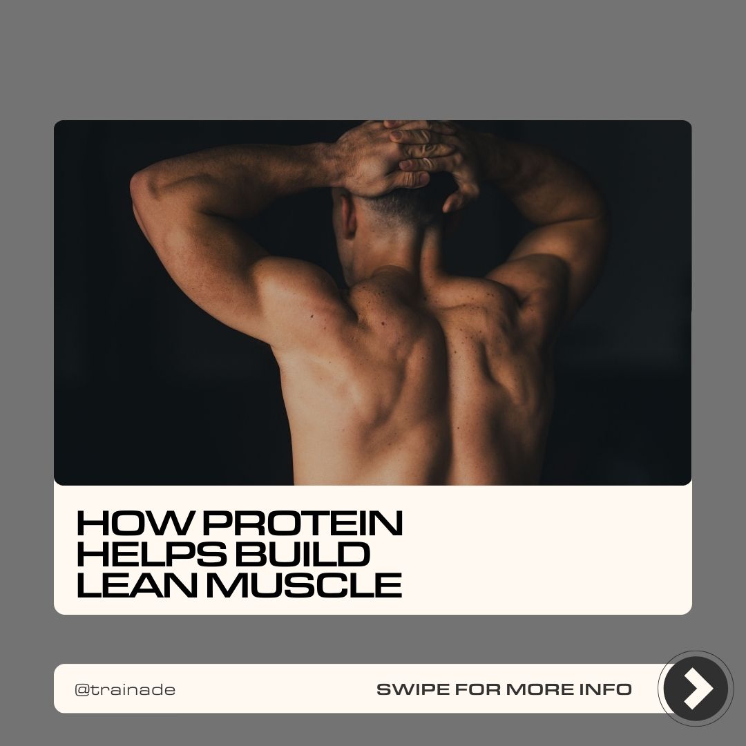 How Protein Helps Build Lean Muscle – Trainade